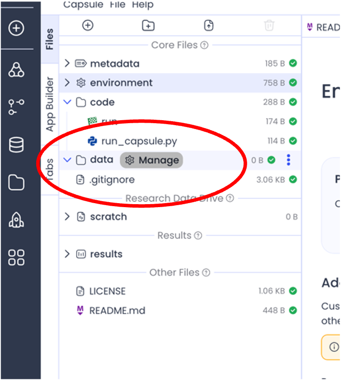 Creating A Code Ocean Capsule Synced To Github Repo — Swdb 2024 Data Book