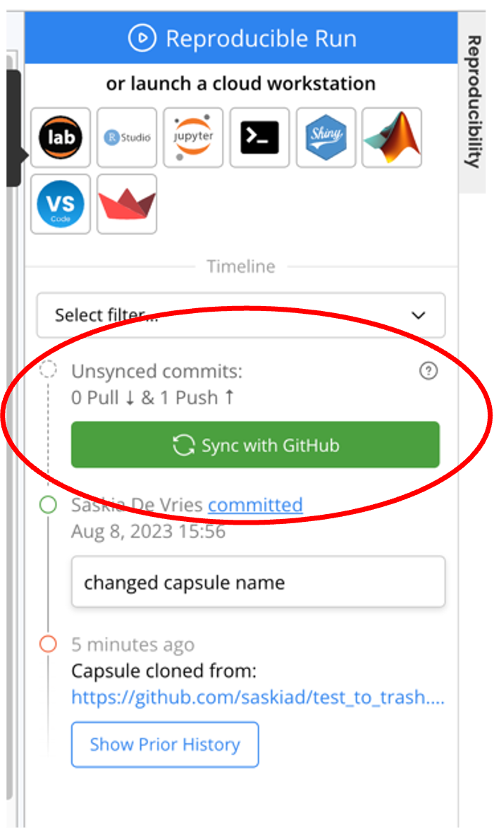 Creating a Code Ocean capsule synced to GitHub repo — SWDB 2024 Data Book