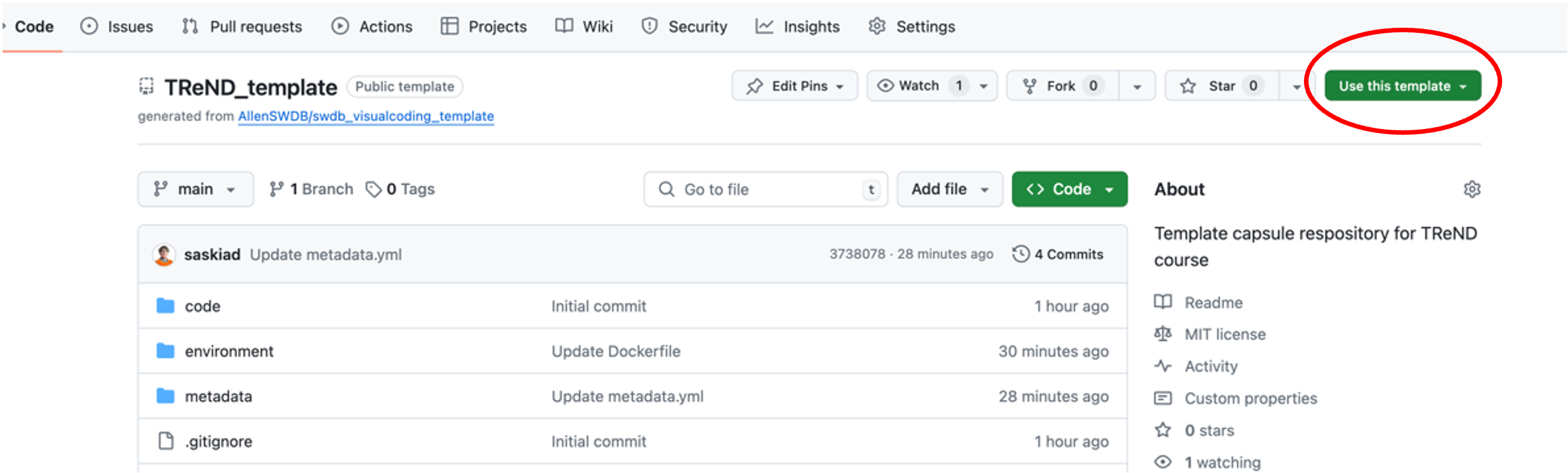Creating A Code Ocean Capsule Synced To Github Repo — Swdb 2024 Data Book